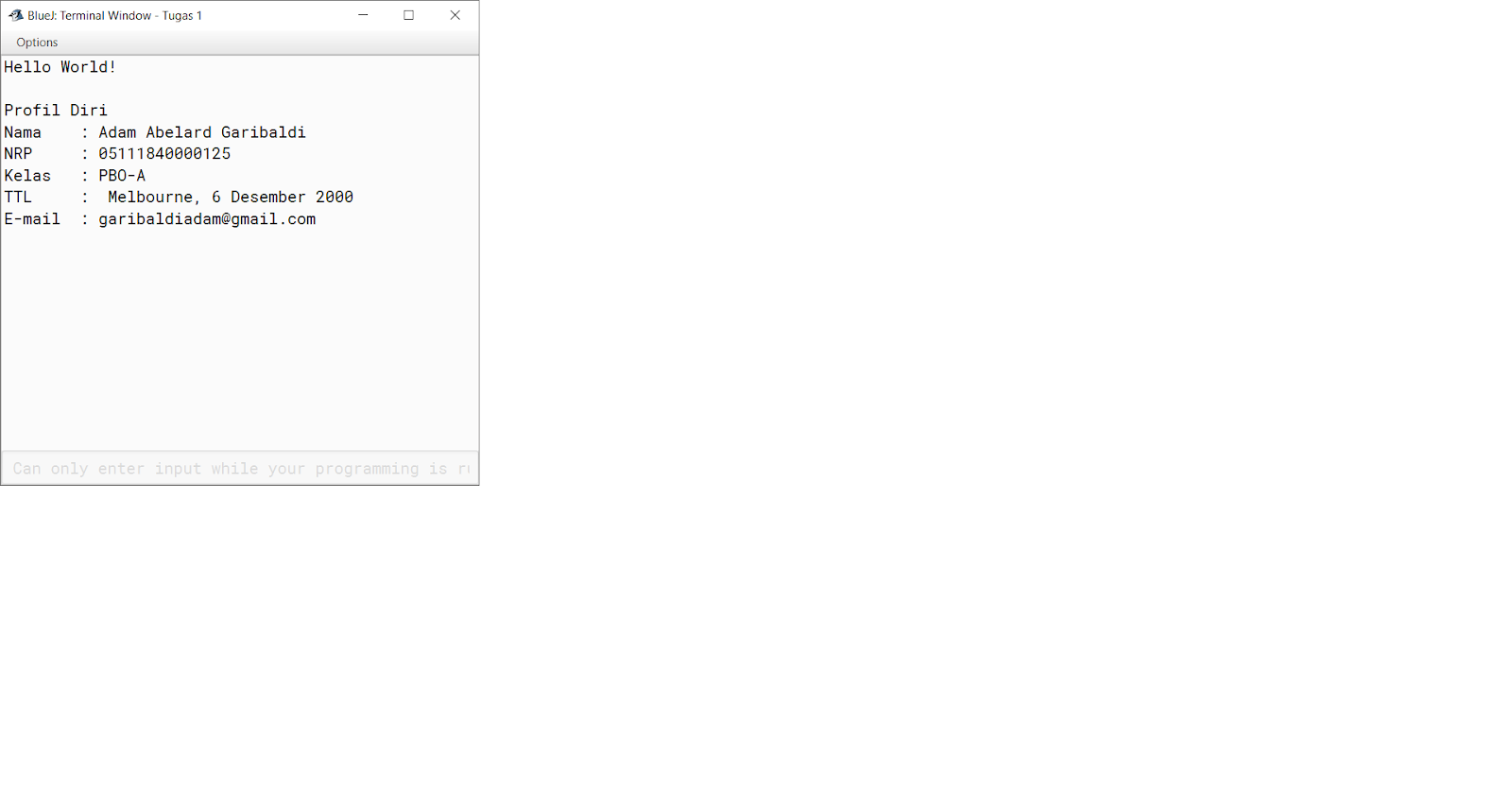 Java 101 (Tutorial membuat Hello World dan Profil)