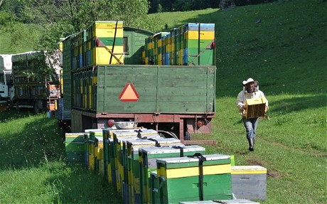 KerBee: L’apiculture en Roumanie