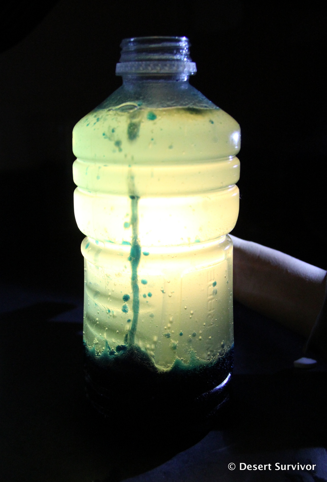 Desert Survivor: Science Experiment: Lava Lamp