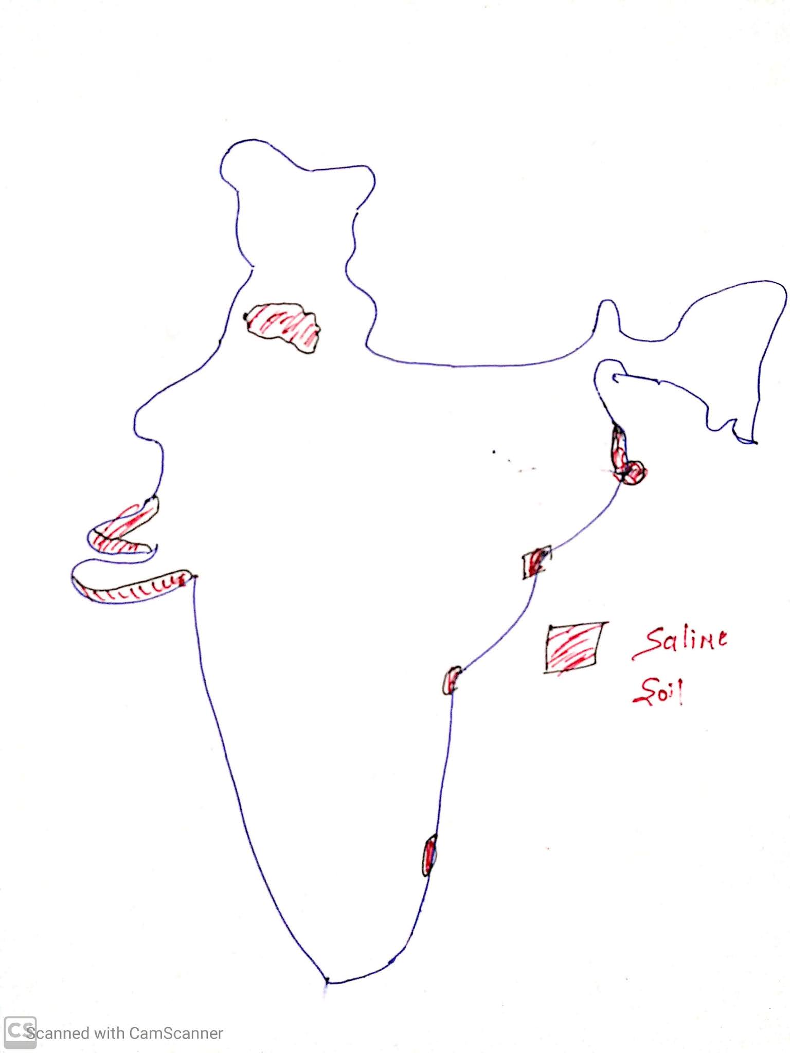 Saline Soils| Classification of Indian Soils | UP-PCS | UPSC| Physical ...