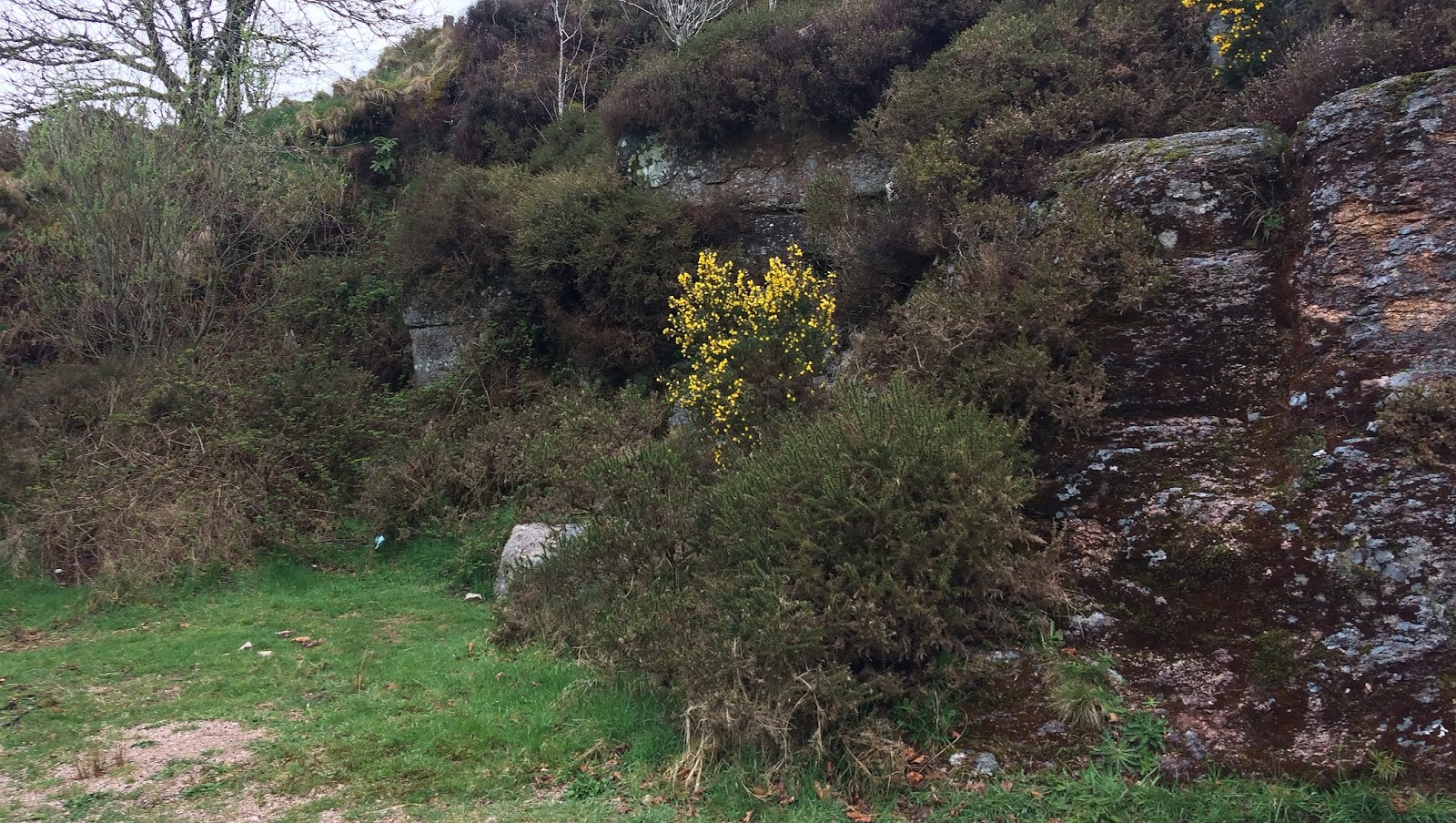 Max Piper - Tor Bagger: Dartmoor: Pew Tor and Heckwood Tor