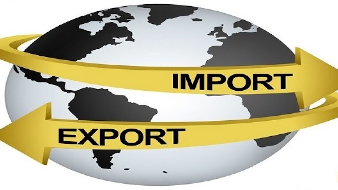 Definition of Import and Common Import Documents