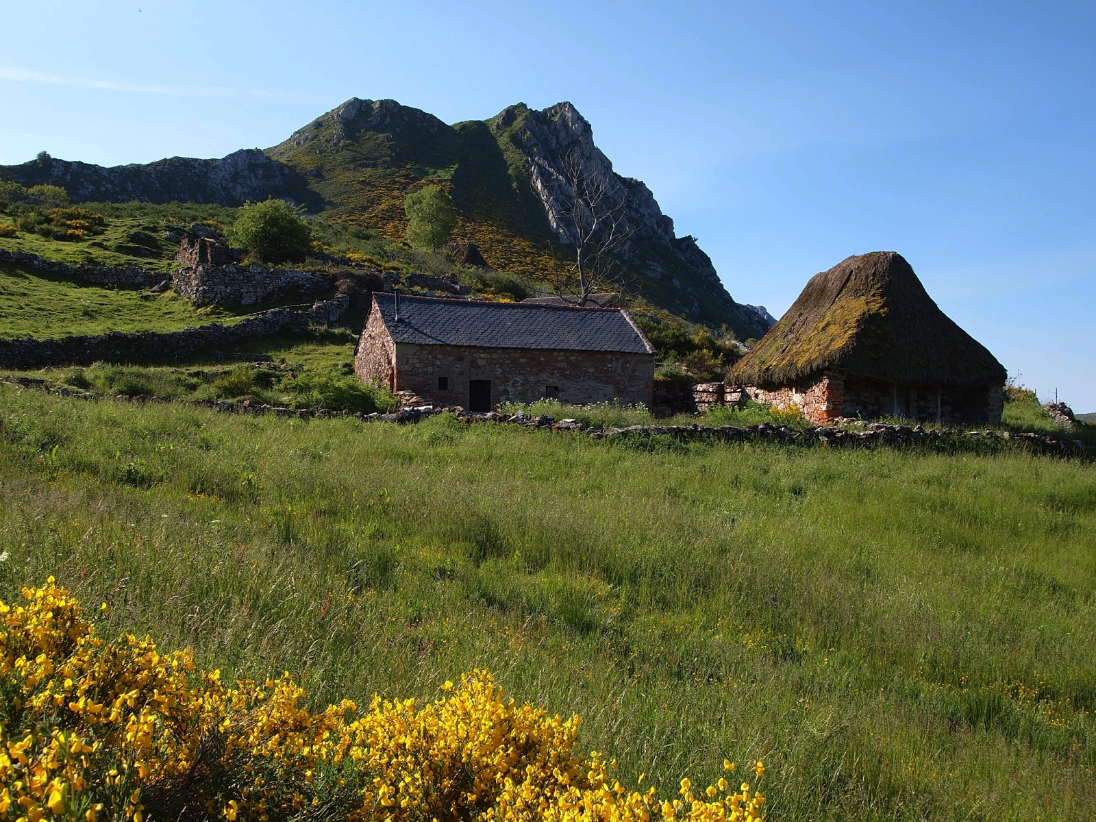 Cumbres de la Cordillera: ruta circular al monte la enramada, somiedo