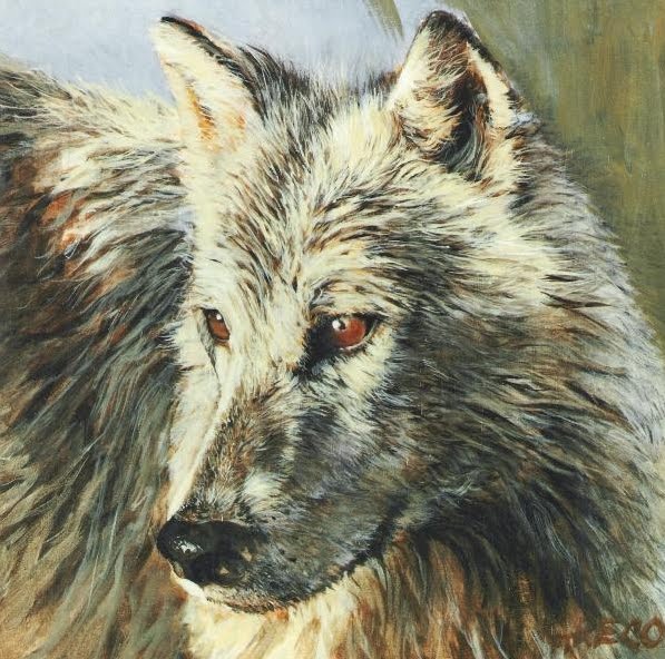 White Wolf : Steve Greco: American Naturalist and Wildlife Artist