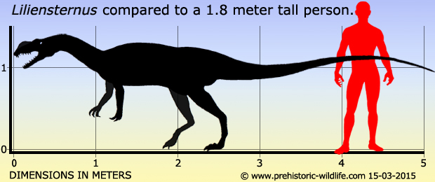 a mesozoic field guide: Liliensternus