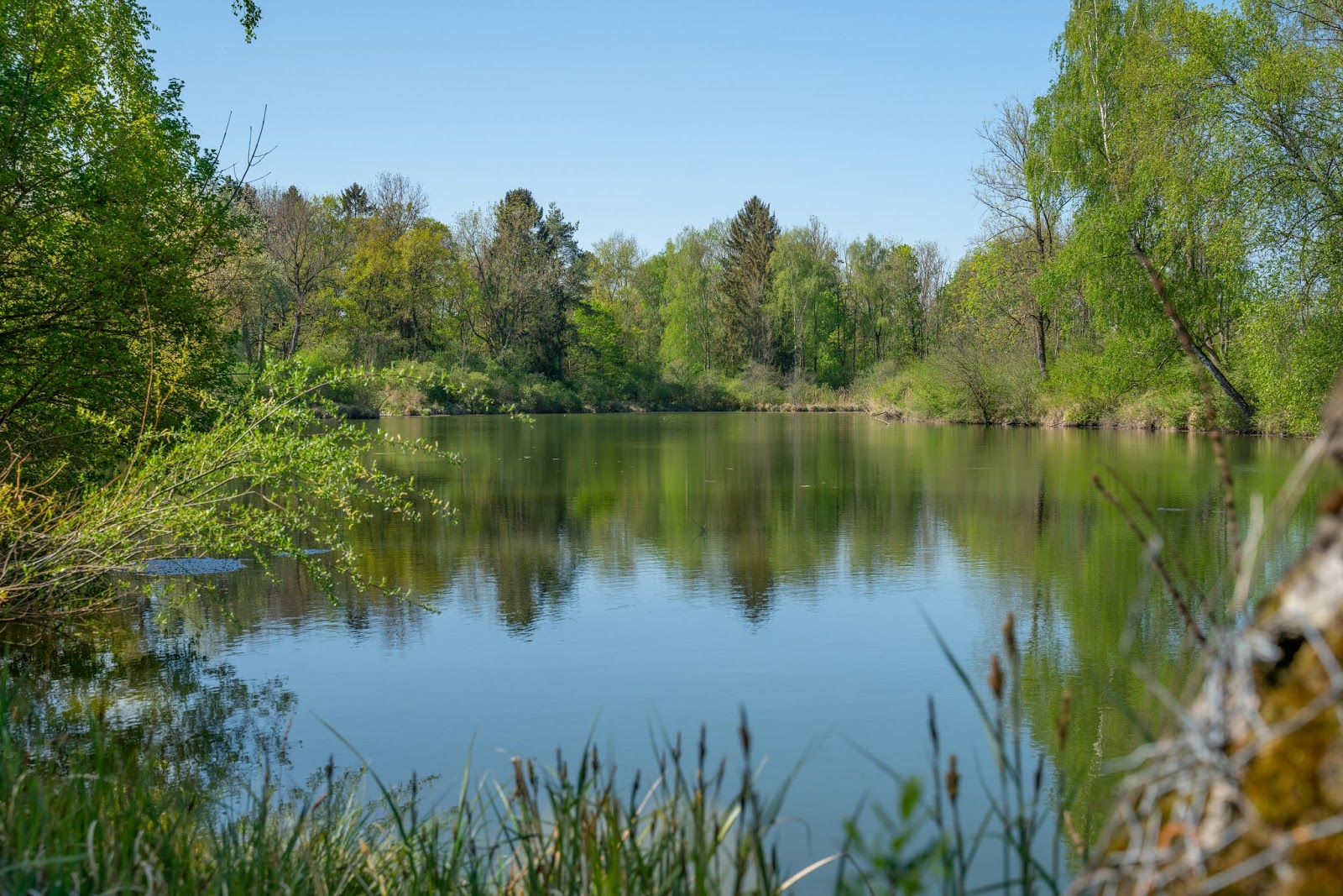 Premiumwanderweg DonAUwald | Etappe 1 von Günzburg nach Offingen