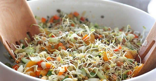 Sprout Salad