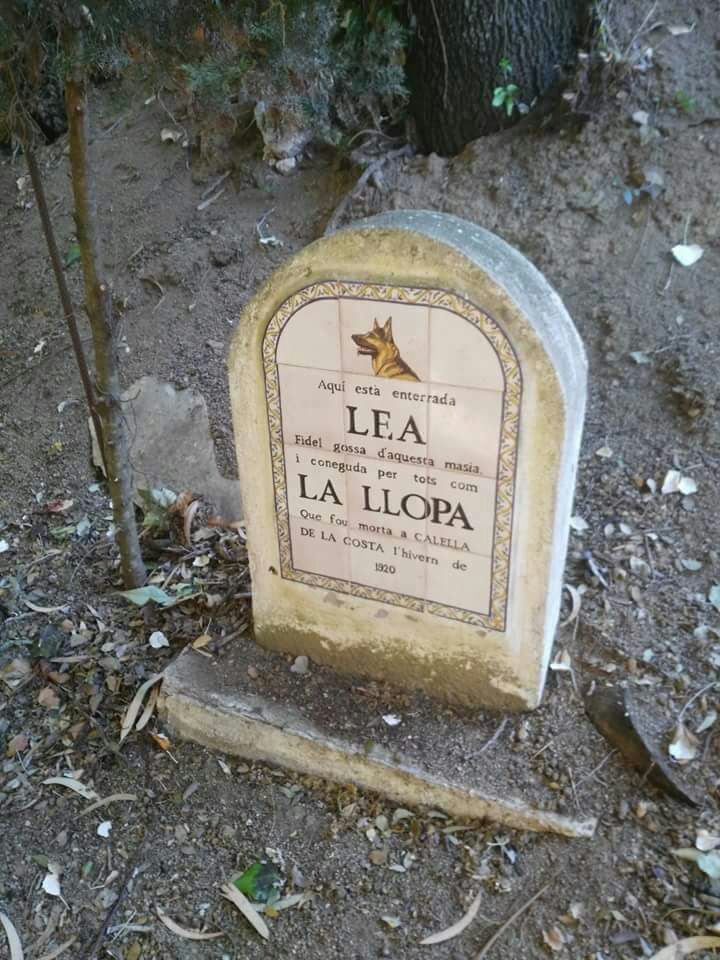 TRESORS a BARCELONA: Llegenda La Llopa de Calella