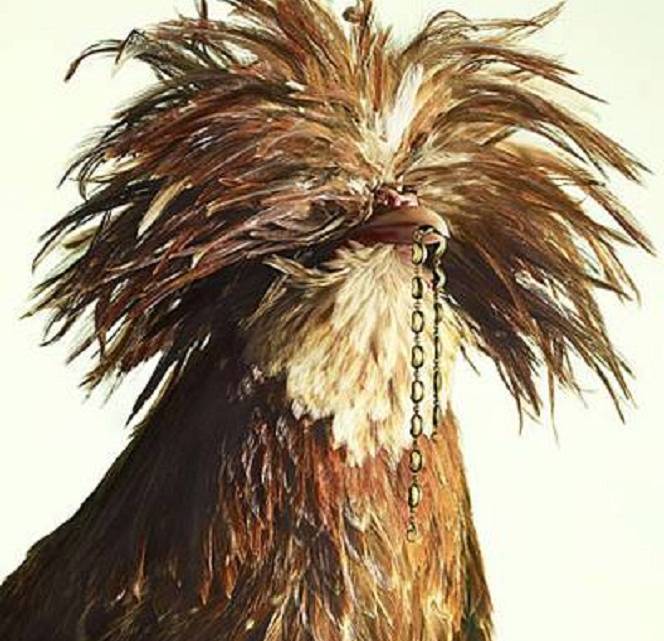 Balkanski Zabavnik: One su prave koke