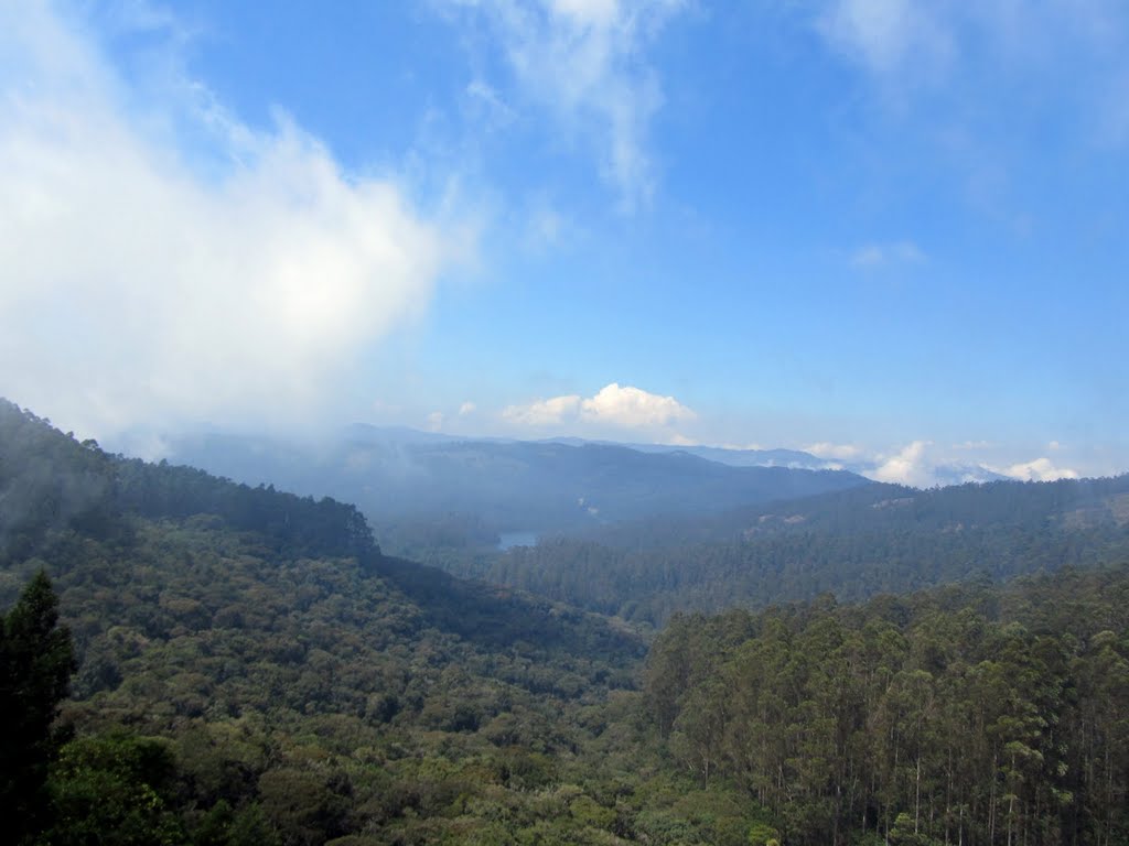 Tamilnadu Tourism: Mathikettan Solai, Kodaikanal