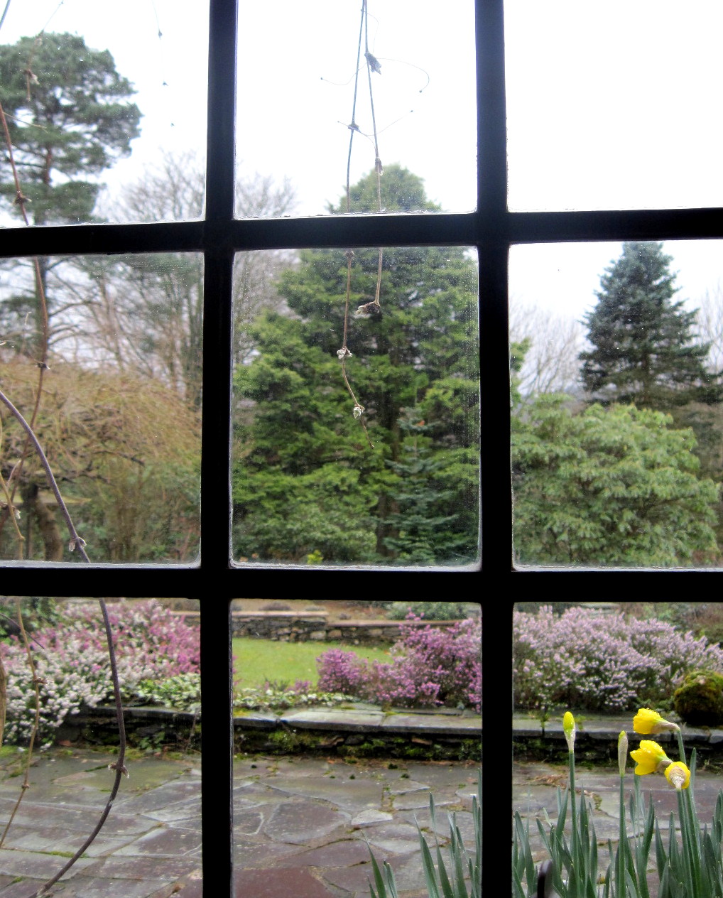 Flutterby Patch: Keeping busy