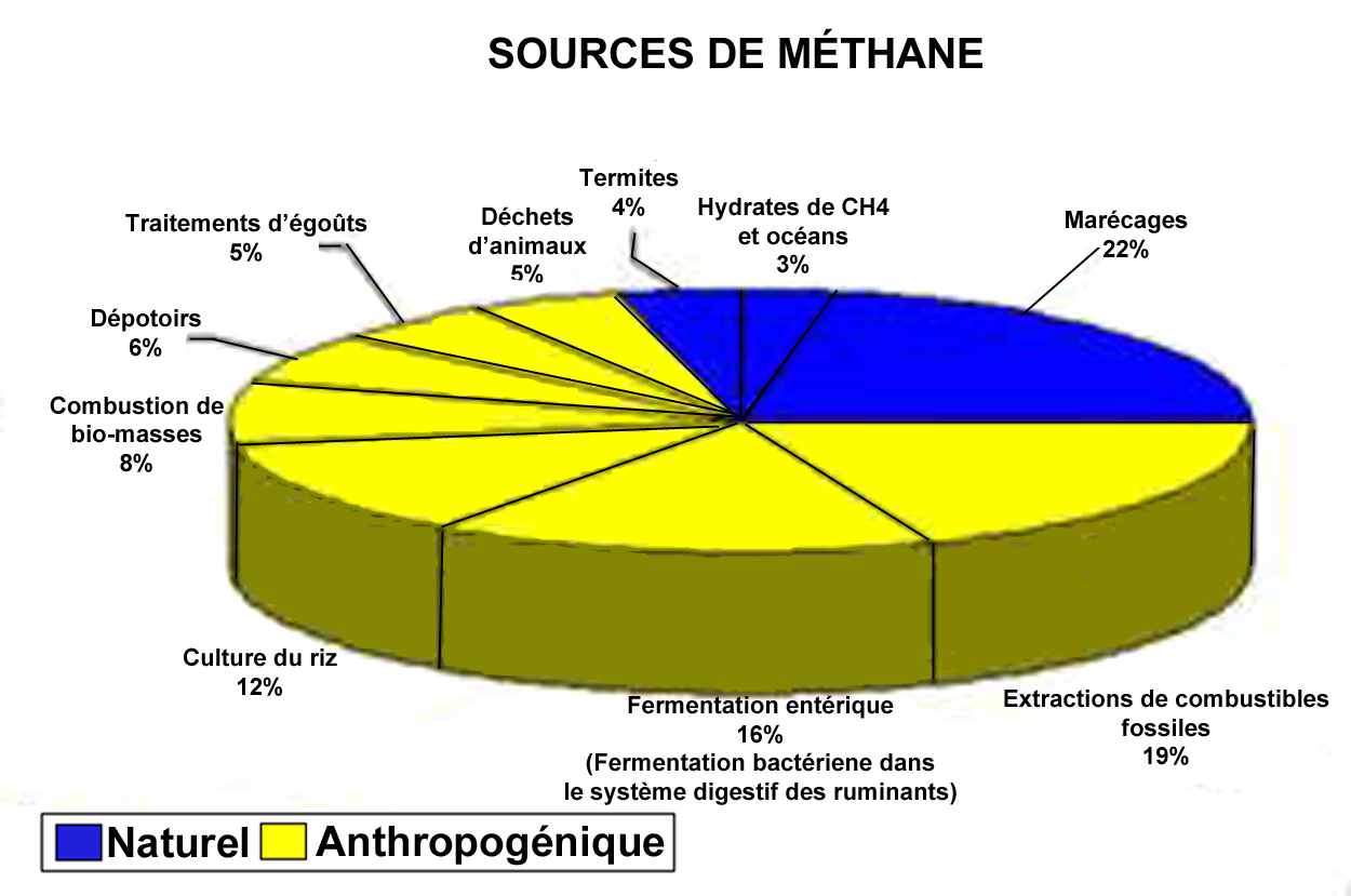 Le Climatoblogue: Le Méthane - L'arme fatale des Changements Climatiques?