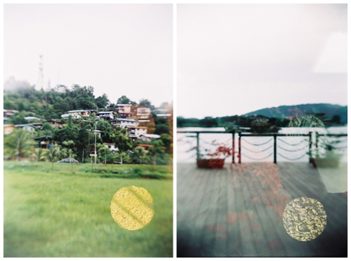 Dhphoto: Recesky DIY TLR Camera vs Gakkenflex vs Blackbird Fly