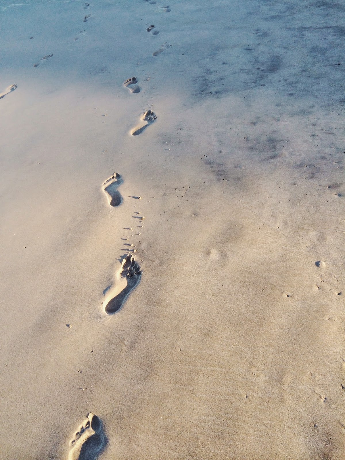 ANNIED SOME LIFE: // BEACH BEB + A WILD ANHIMAL
