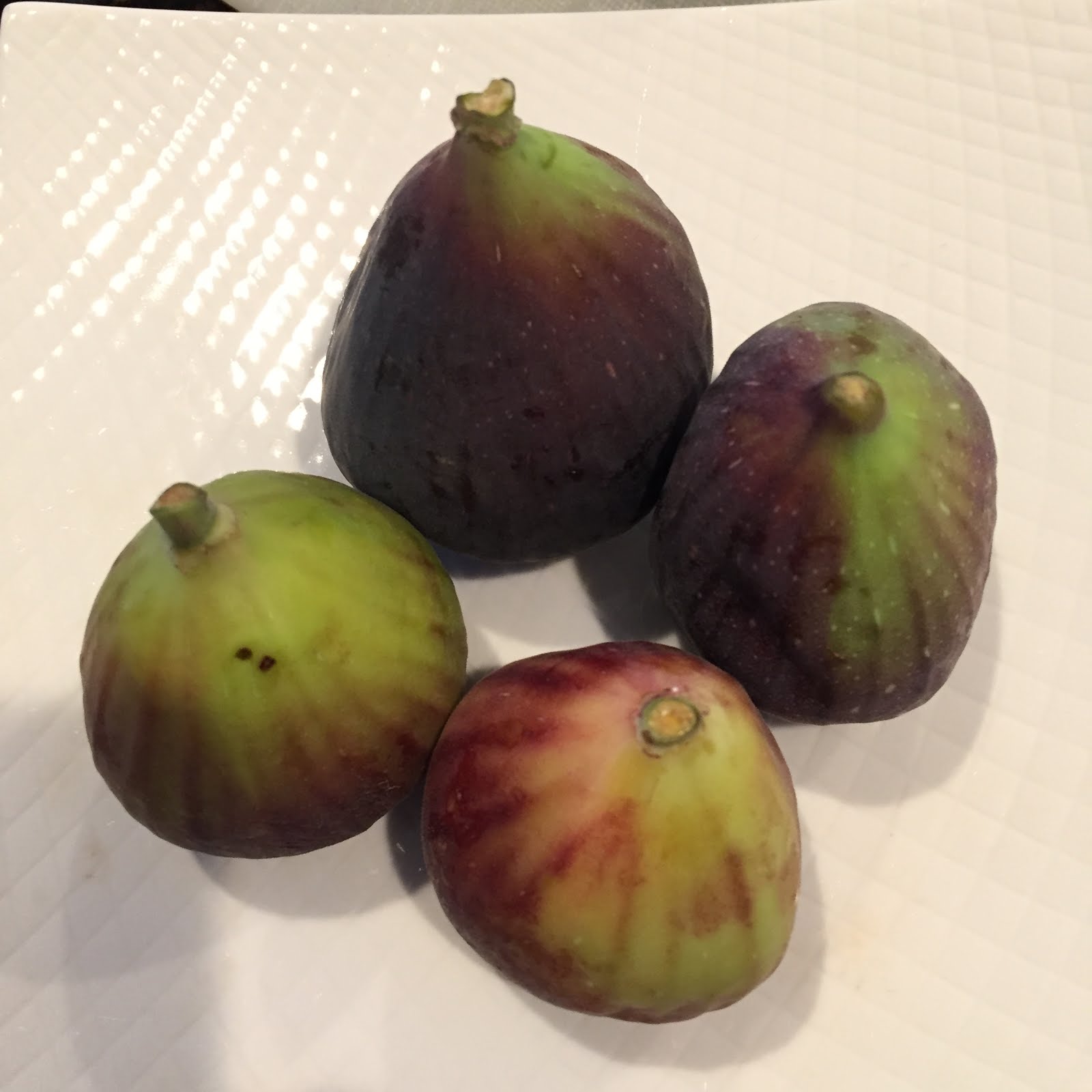 Here and Now: Rounding up the Figs!