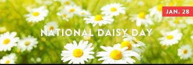 Observations from a simple life: National Daisy Day: a simple but ...