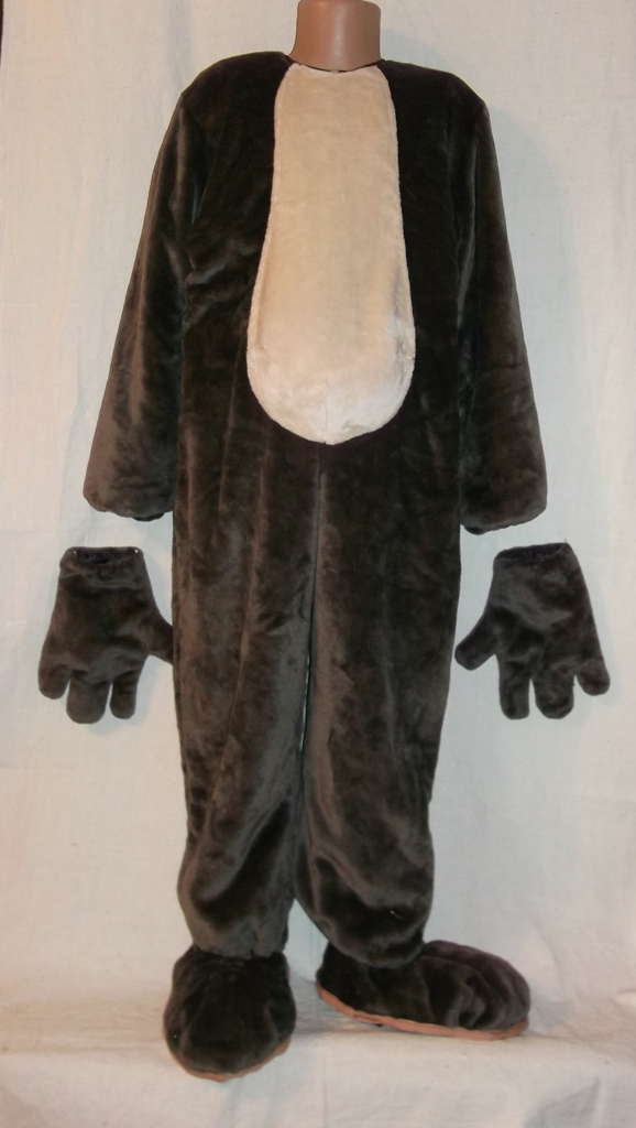 COSTUME MICHI MANOLE: Costum de urs. Mascota urs.