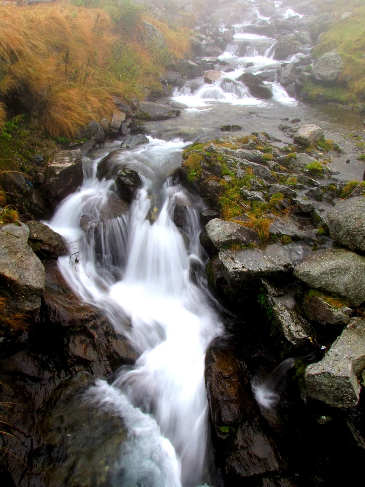 Hobby de mamica - photo, responsabilitate sociala si altele ...