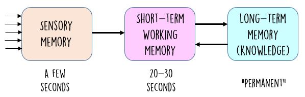 Looking Forward: Call Me Dory: Forgetfulness and ADHD