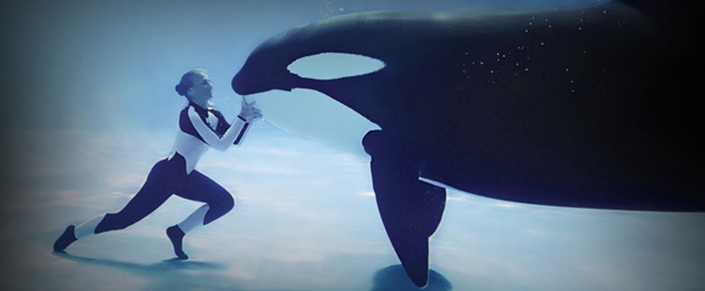 Blackfish (2013) reviewed by Emily Hoogenboom