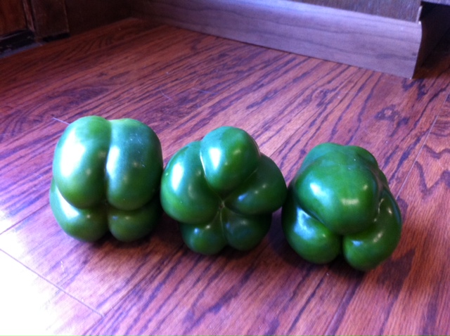 Homemade This and That: Helpful tips