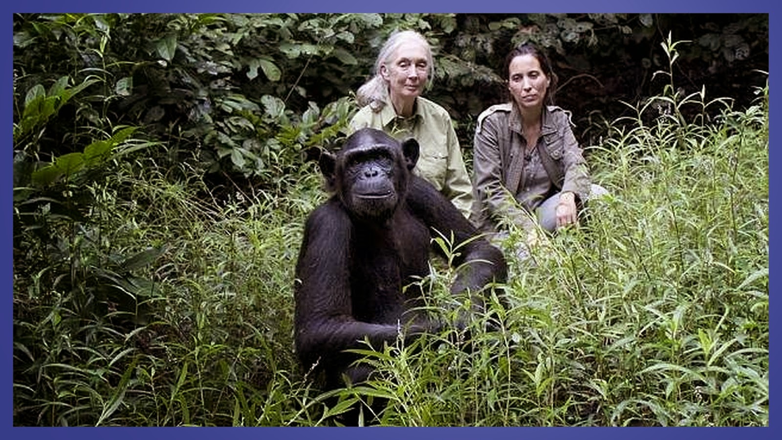 Re -Train Your Brain To Happiness: Jane Goodall Gets A Hug From Wounda ...