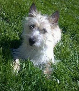 a balanced banana: Introducing Nala Nelson