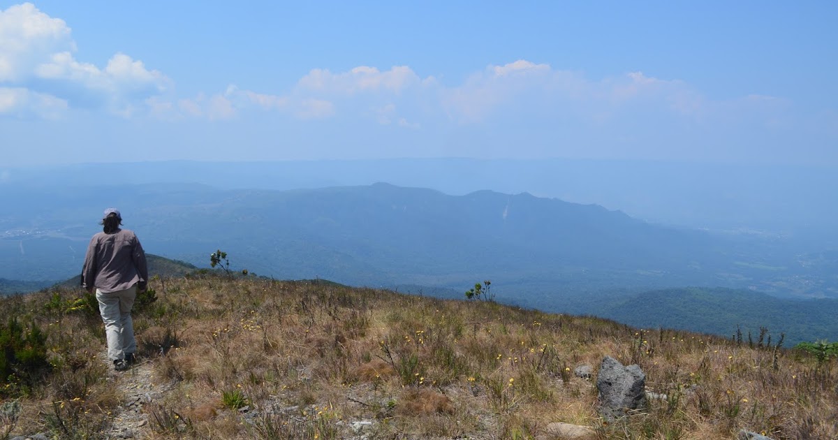 Times in Tanzania: Mt. Rungwe: Trip II
