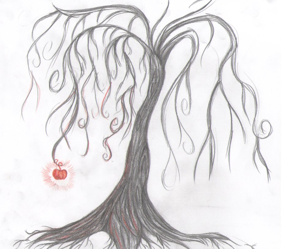 Poem A Poison Tree : Sample Questions + Answers - Lucky Potato