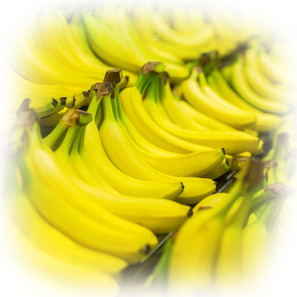 SS Engineers & Consultants