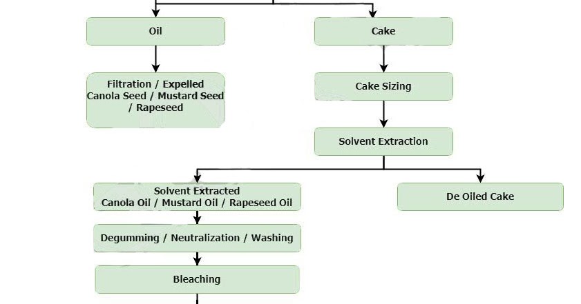 Edible Oil Extraction Process and Machinery: Canola Oil Production ...