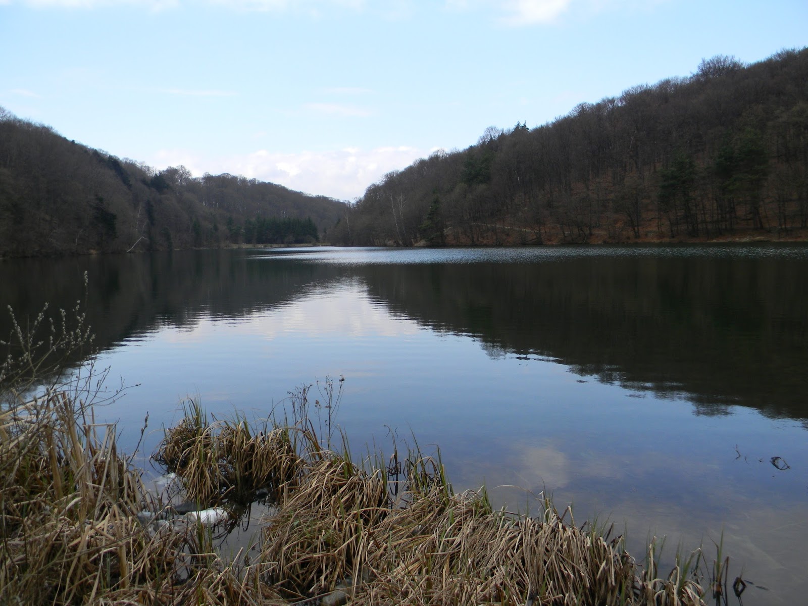 Blog de Calatorii si Drumetii Montane.: Lacul de la Codlea ,jud.Brasov ...