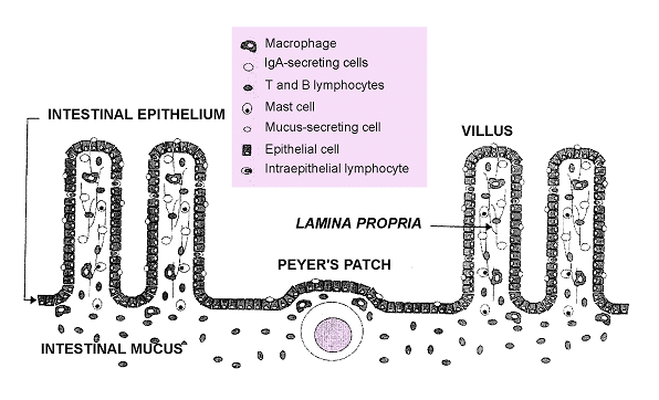 B4ItHappens - Nutrition, Acupuncture & Chinese Medicine, Petaling Jaya ...