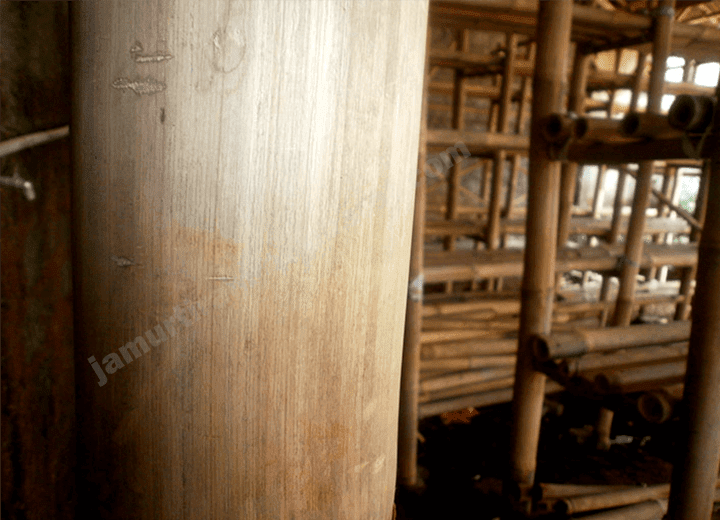 Membuat kumbung dan rak jamur tiram