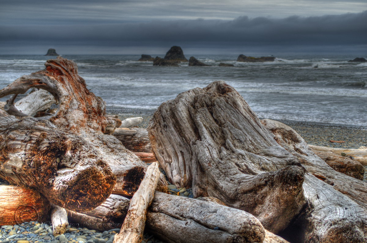 Rick Lamison Photography