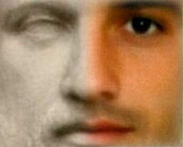 The Pontid phenotype and ancient Greece connection