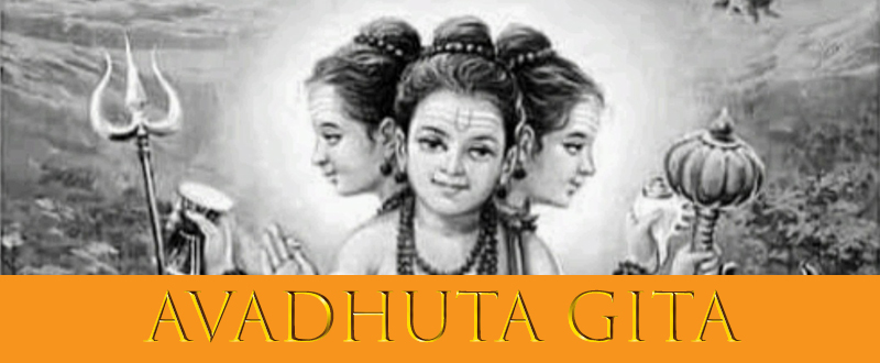 Avadhuta Gita