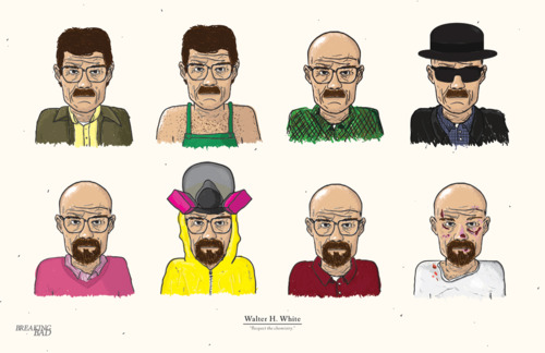 Breaking Bad Lab Notes