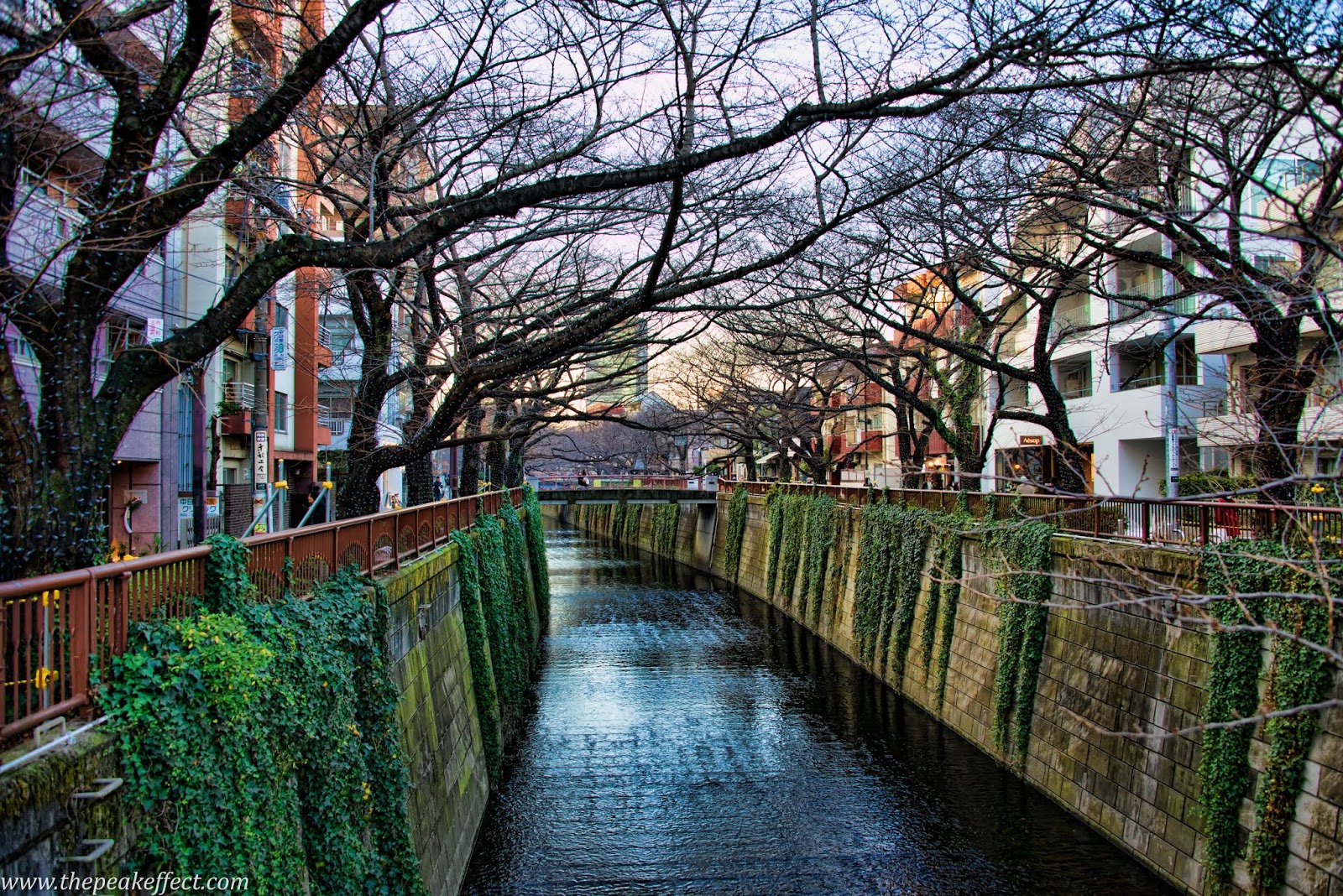 The Peak Effect: Meguro, Tokyo, Japan