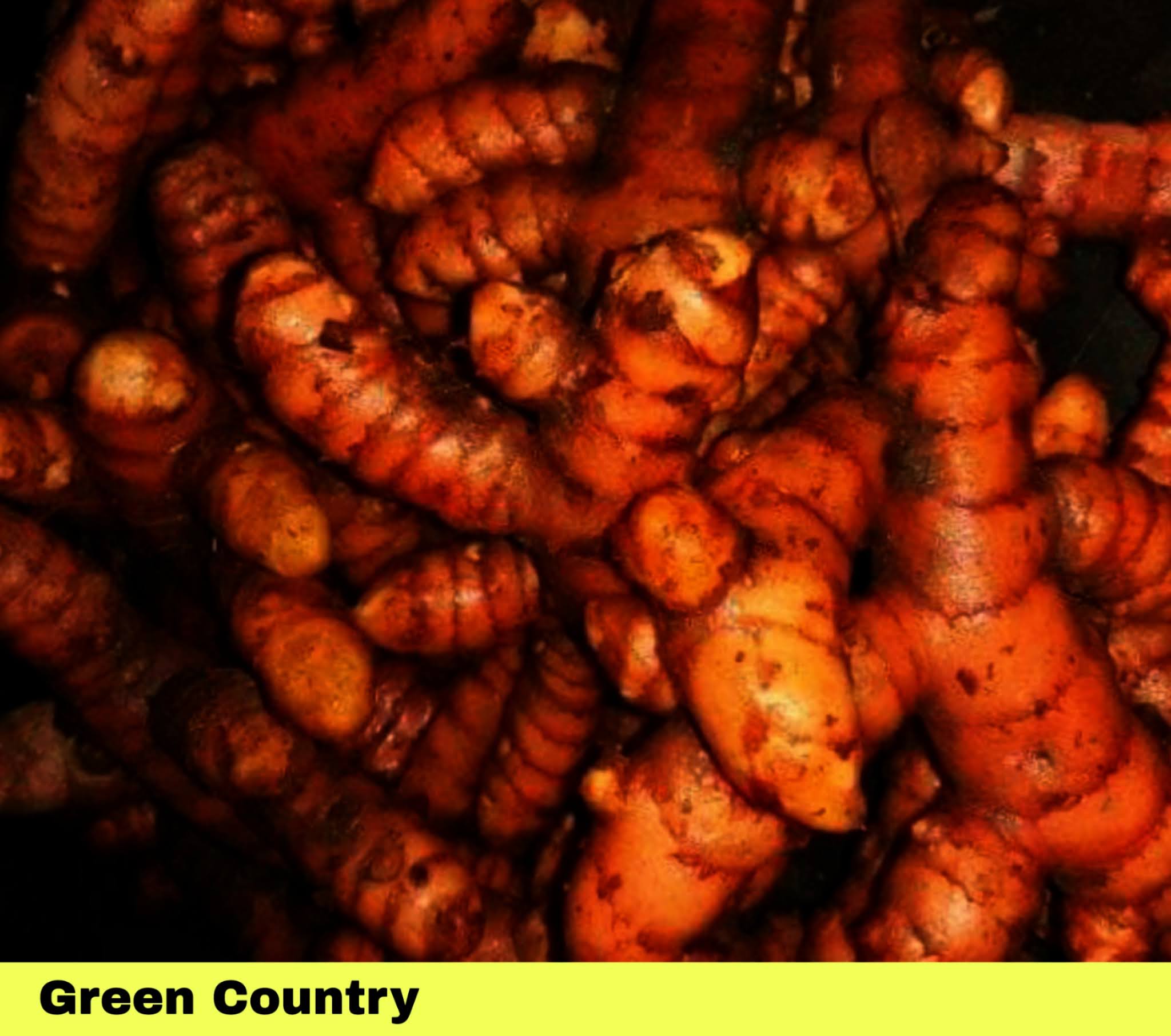 Learn About Turmeric Cultivation