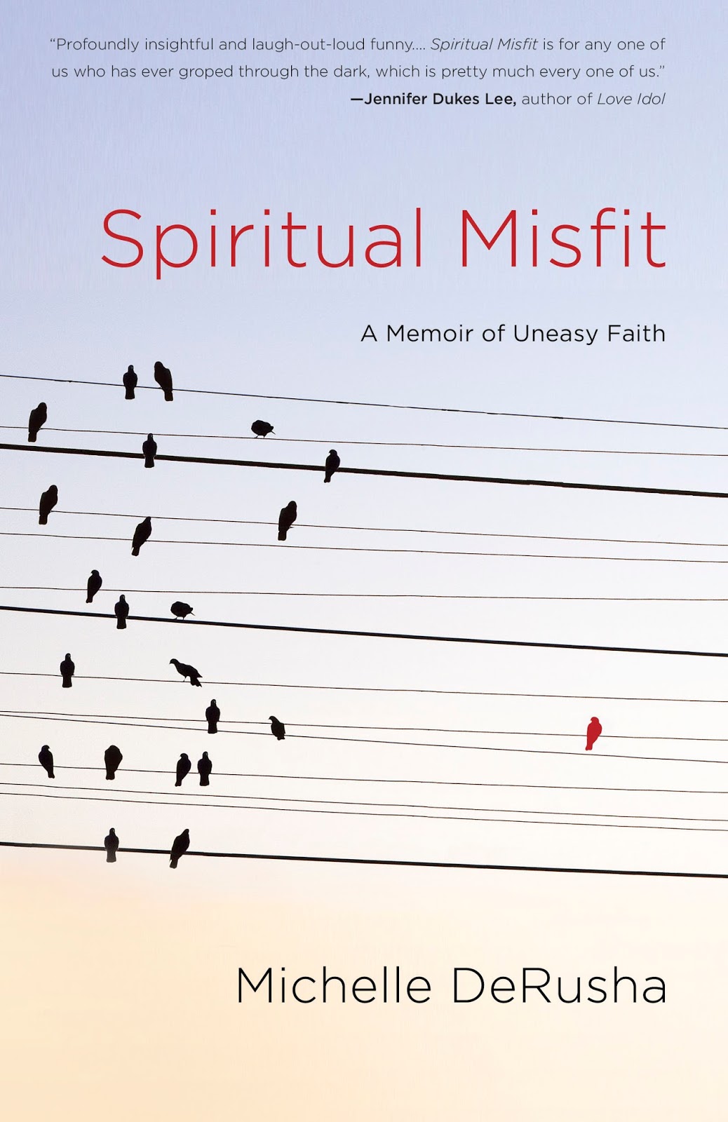 Flickers of a Faithful FireFly: Spiritual Misfit by Michelle DeRusha