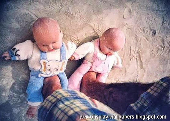 Free Wallpapers For Pc: Amazing Funny Pictures Free Download