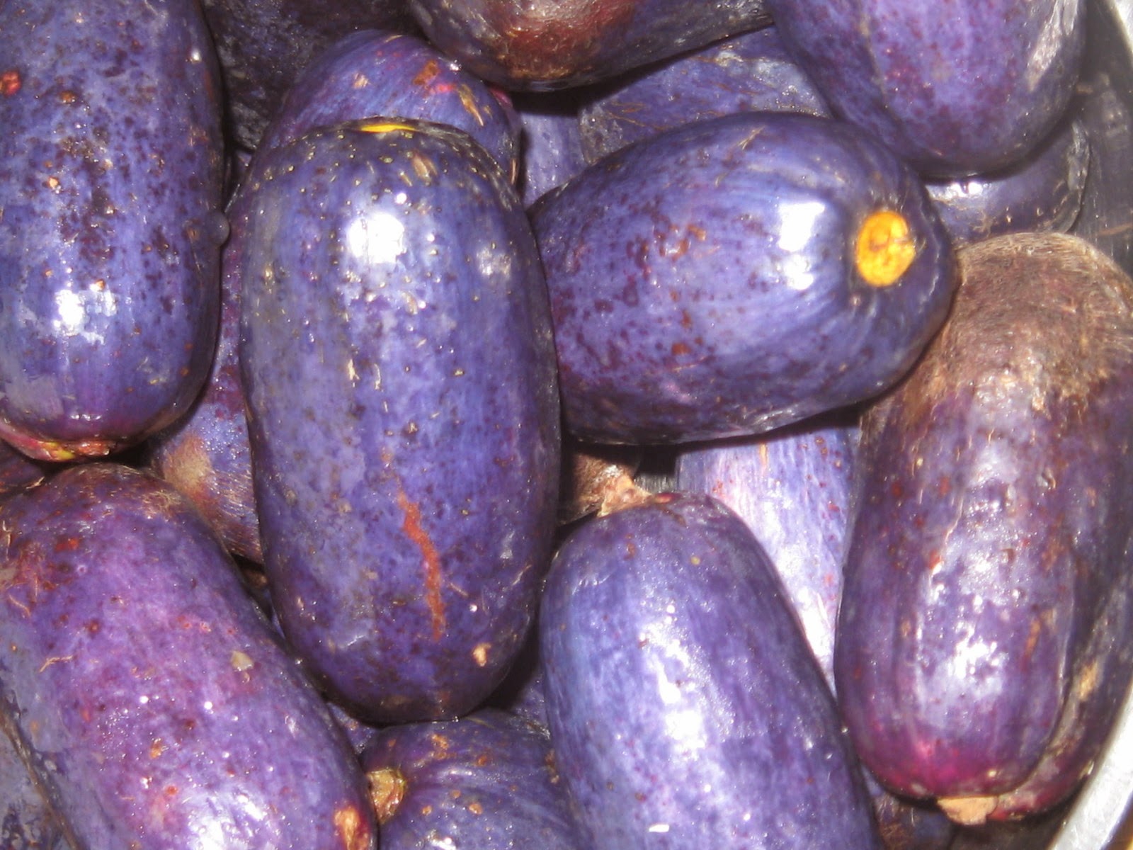 Fryou-Maison-Décos: De saison...Le Safou