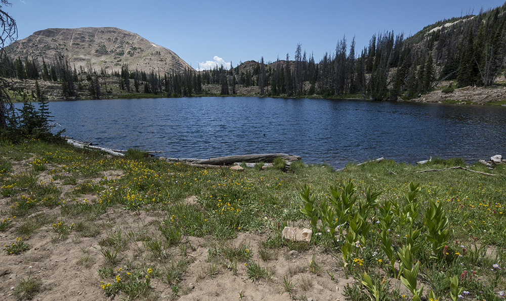 Trails Trekker: Three Divide Lakes Loop/Clyde Lake Loop