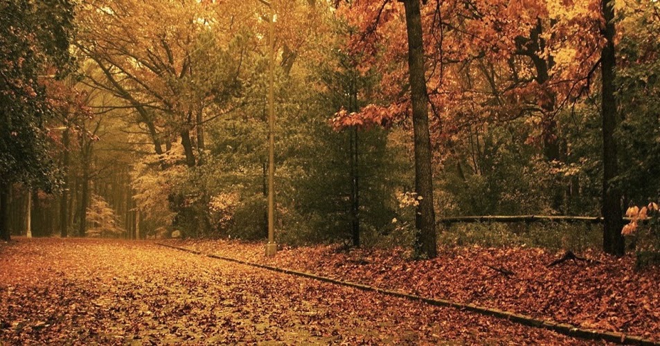 Calendars Printable / Twitter Headers / Facebook Covers / Wallpapers ...