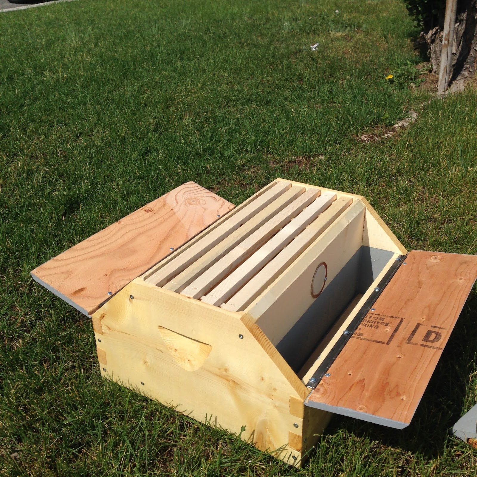 Bee Champions: The Barn Hive