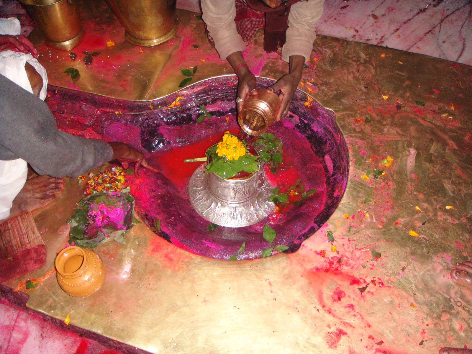 baba basukinath: JAI BABA BASUKINATH