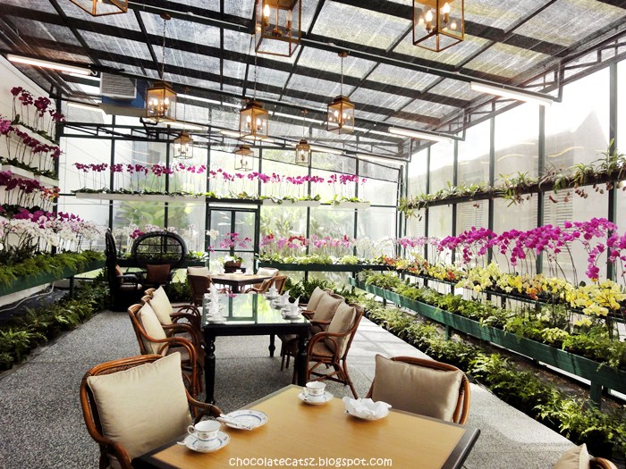 Chocolate Cats: Afternoon Tea at the Orchid Conservatory, Majestic Hotel KL