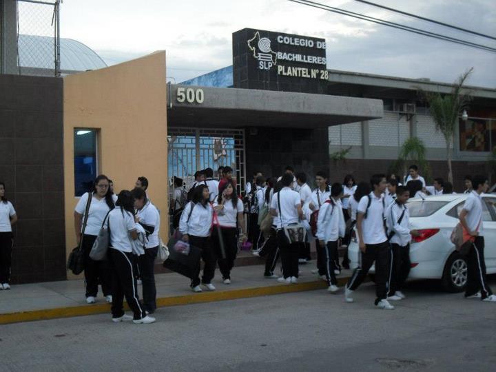 Panteras Cobach 28 : Galeria....