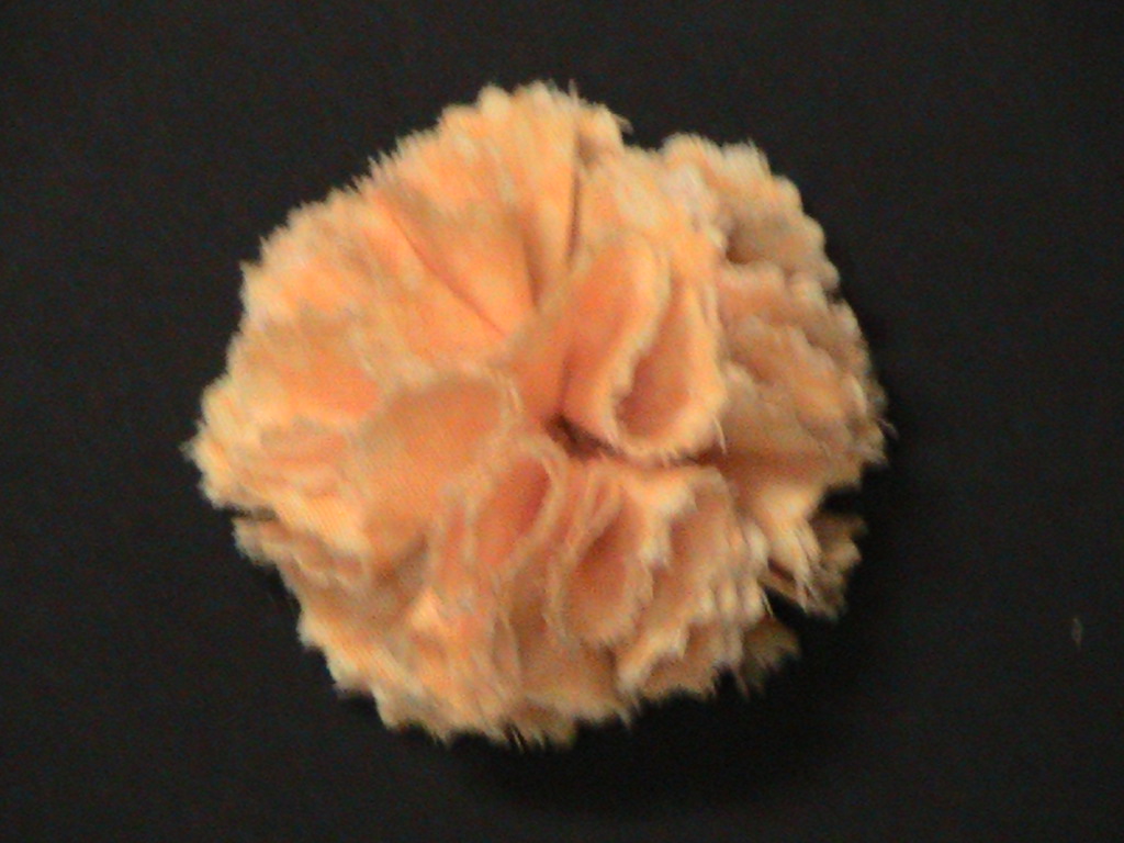 Jens Joint: Clover Flower Frill